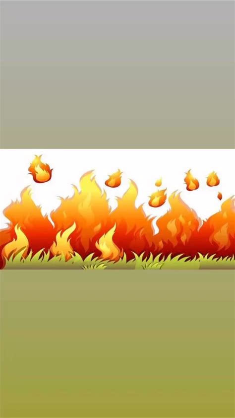 Tama Ambulance Service Added A Tama Ambulance Service