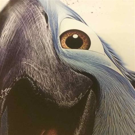 Rio Movie Tulio Bird Costume Looking For Blu