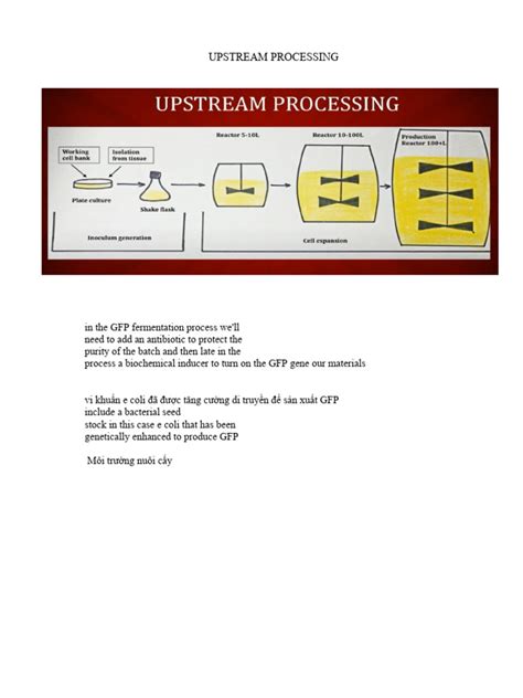Upstream Processing Gfp Pdf
