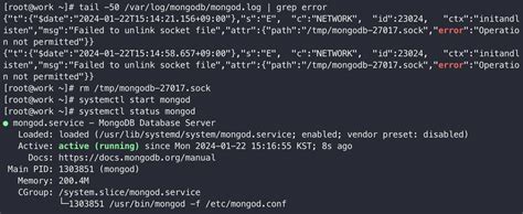 Mongodb 설치 후 상태 Fail로 뜰 때 Status14