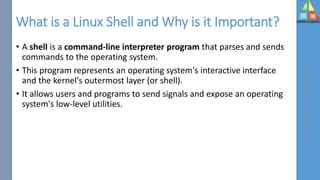 Types Of Linux Shells PDF Operating Systems Computer Software And Applications