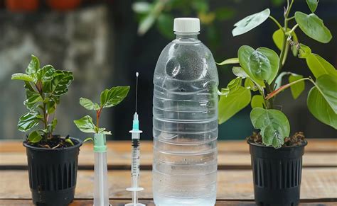 Diy Automatic Plant Watering System Your Green Companion While Youre Away