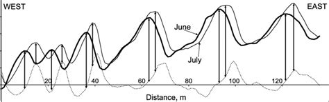 Depth Cross Sections And Cross Section Through A Difference Dtm Download Scientific Diagram
