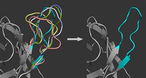 Loop Model Selection Oxford Protein Informatics Group