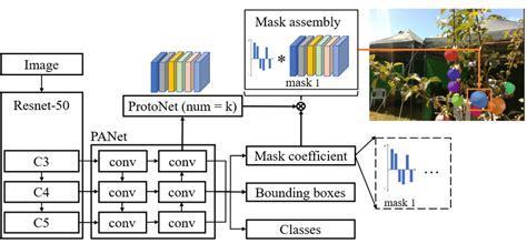 One Stage Instance Segmentation Network For Apple Detection Download