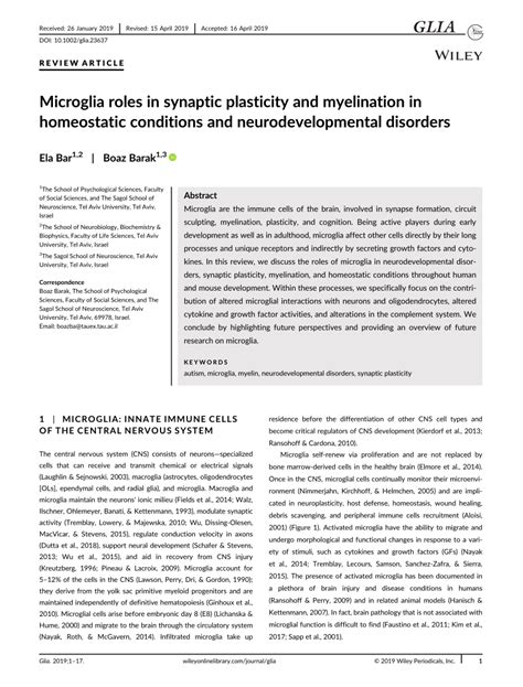 Pdf Microglia Roles In Synaptic Plasticity And Myelination In