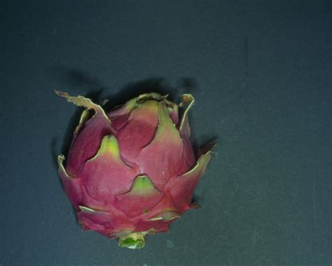 Good V2 Object Detection Dataset By Dragon Fruit