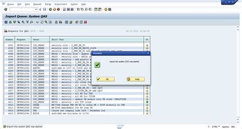 SAP Basis For Beginner Creating Transport Request For Roles DEV QAS PRD