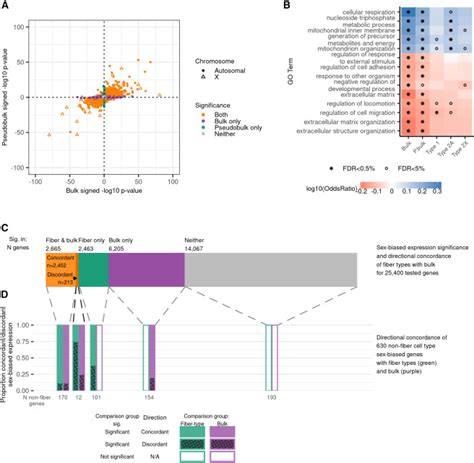 Extensive Differential Gene Expression And Regulation By Sex In Human