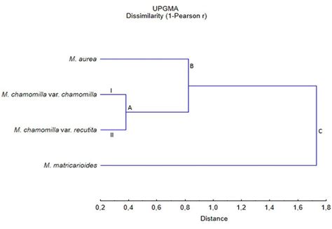Upgma Clustering Of Matricaria Taxa On The Basis Of Morphoanatomical