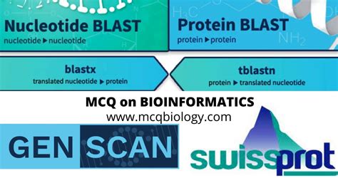 mcq on bioinformatics program and software