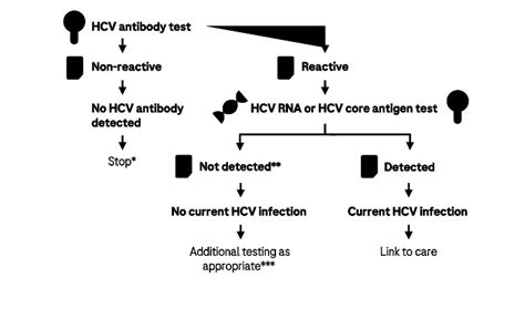Roche Interactive Testing Algorithm