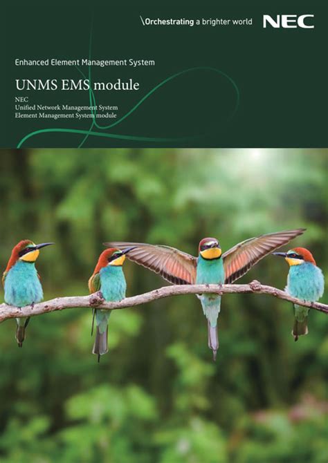 unms ems module aviat networks