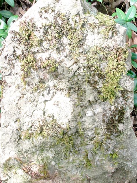 James Lapsley Moody 1804 1883 Find A Grave Memorial