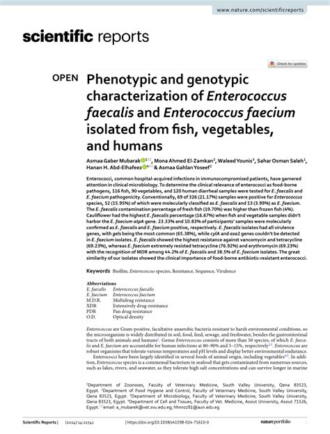 Pdf Phenotypic And Genotypic Characterization Of Enterococcus