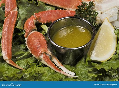 Crab Composition 2 Stock Image Image Of Pinch Crab 14925941