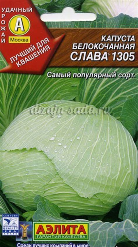 Лучшие сорта капусты: отзывы, фото, описание и характеристика