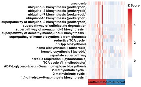 Create Pathway Heatmap Pathway Heatmap Ggpicrust