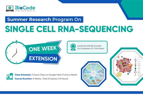 Summer Research Program on Single-Cell RNA-Seq | BioCode