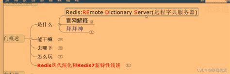 尚硅谷redis7 任务2：02 redis是什么 csdn博客