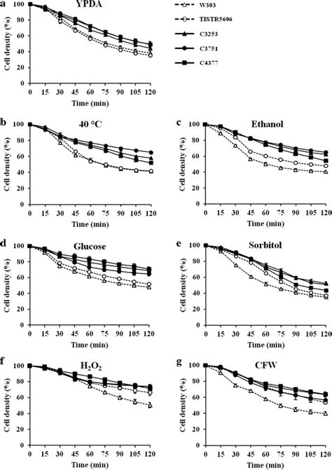 A Susceptibility To Zymolyase Of The Multiple Stress Tolerant S