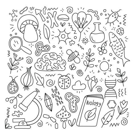 Biology Doodle Clipart Calligraphy Science Set Drawing Cell Doodles Hi