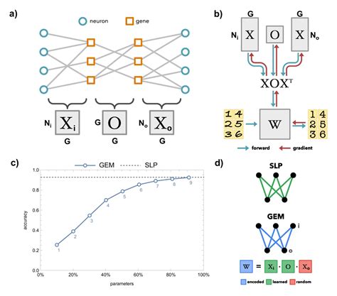 neuroevolution paper