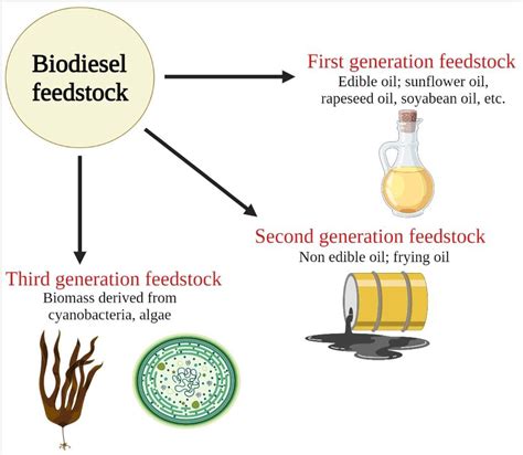 Recent advances and challenges in the utilization of nanomaterials in transesterification for ...