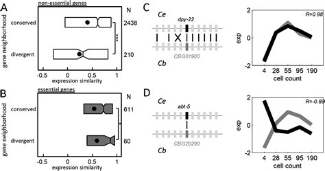 Comparison Of Diverse Developmental Transcriptomes Reveals That