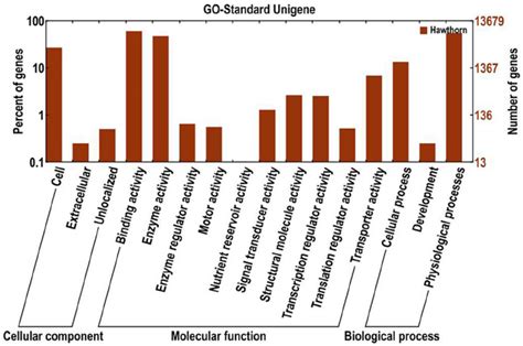 Histogram Of Go Classifications Of Assembled C Pinnatifida Unigenes