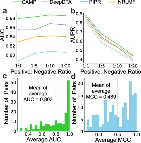 A Deep Learning Framework For Multi Level Peptide Protein Interaction