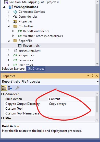 System IO FileNotFoundException Issue Jantech RdlcWebApi GitHub