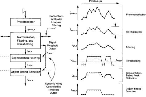 figure 1 from object based selection within an analog vlsi visual