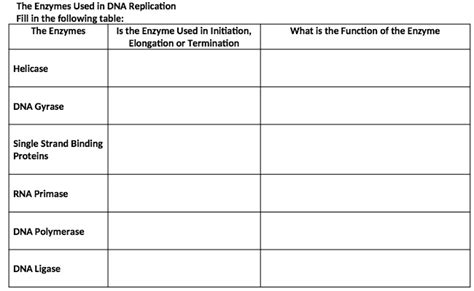 The Enzymes Used In Dna Replication Fill In The Following Table The Enzymes Helicase Dna Gyrase