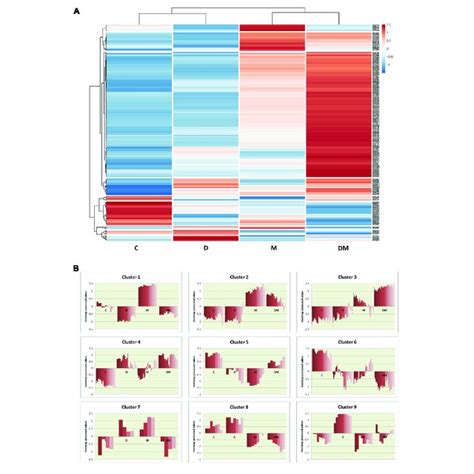 Hierarchical Clustering Of Differentially Expressed Genes Among The