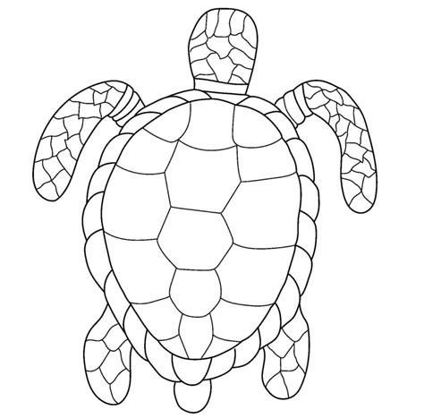 Turtle Shell Coloring Page