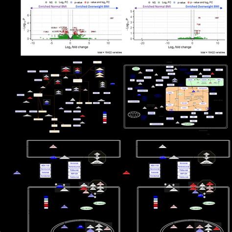 Obesity Associated With Differential Immune Cell Transcriptome Obesity