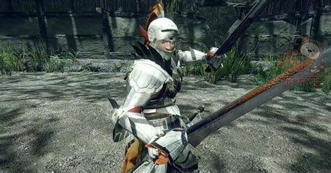 《怪物猎人：崛起》伞鸟套装造型曝光！猫狗也能穿