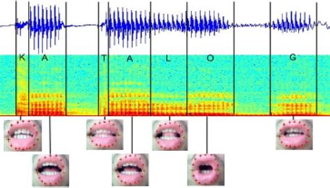 The Method Of Divide The Audio Signal Into Phonemes With Use Video Frame Download Scientific