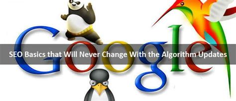 Relation Between SEO Fundamentals And Google Algorithm Updates