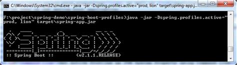 Spring Profiles Example
