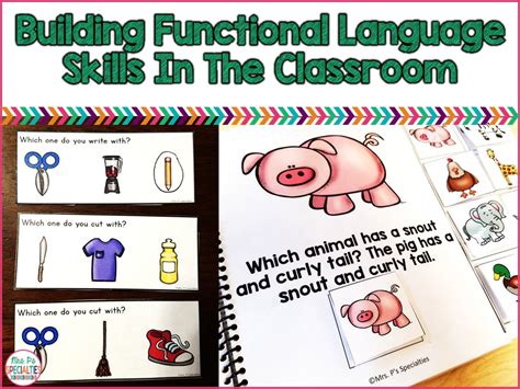 Building Functional Language Skills In The Classroom · Mrs P S Specialties