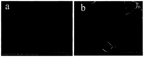 Vanadium Oxide Modified Manganese Based Catalyst For Low Temperature Scr Denitration As Well As