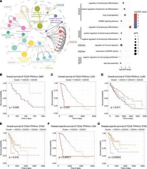 Jci Insight Molecular Profiling Identifies Distinct Subtypes Across