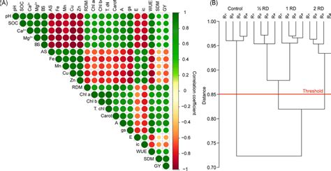 heatmap correlation pearson a and the hierarchical clustering b