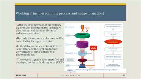 Electron Microscopy Ppt