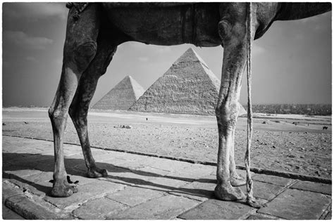 What Is Structural Frame In Photography