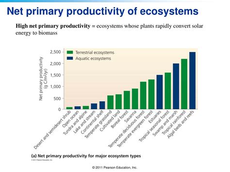 Ppt Ecosystems Powerpoint Presentation Free Download Id 1633779
