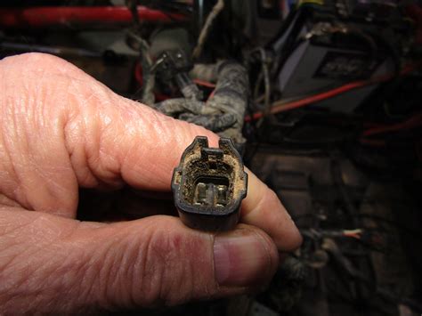 O Sensor Plug Wildcat Forum