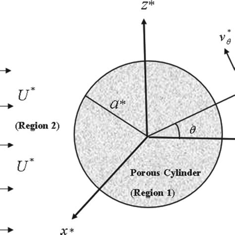 Flow Pattern Streamlines Of Micropolar Fluid Flow Through Porous